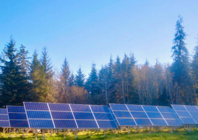 The Rise of the Microgrid: Creating Energy Resilience Through Solar PV ...