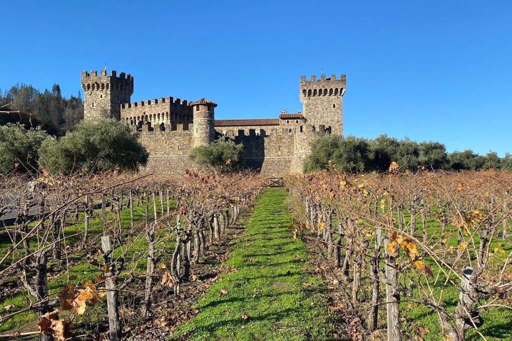 Castello Winery - Ageto Energy
